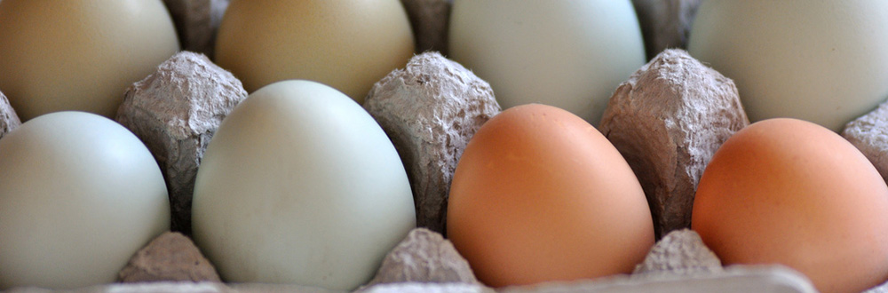 You Bet Your Sweet Bippy — from A Way with Words