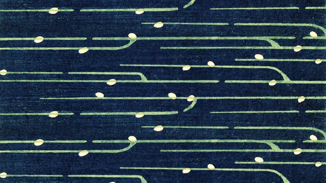 Puddin' Tame or Pudding Tane – A Way with Words, a fun radio show and ...