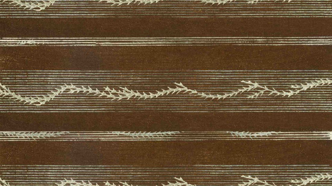 In Slang "To Cap" Means "To Lie" but Why? – A Way with Words, a fun ...