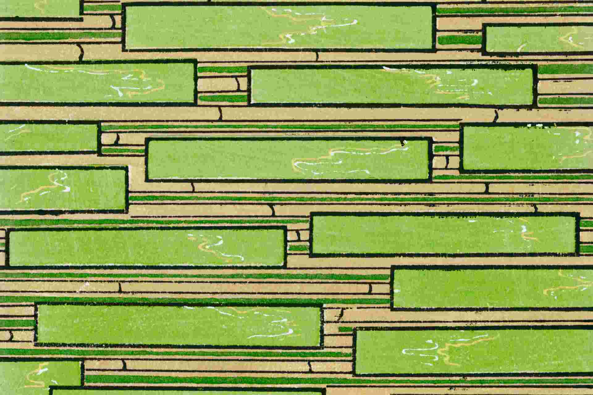 It’s the Pits, but What are the Pits? — from A Way with Words